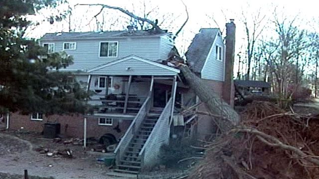 80-foot tree lands on house in Virginia | Fox News Video