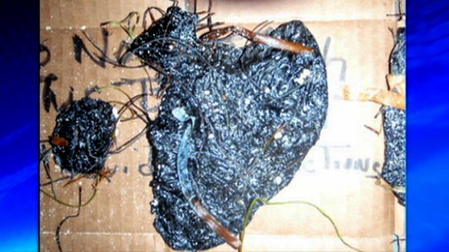 Tar Balls Found Off FL Coast | Fox News Video