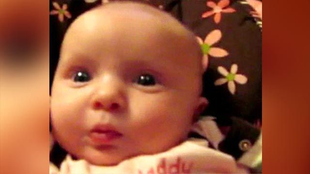 Baby Lisa: Search of Irwin Home and Yard Continue | Fox News Video