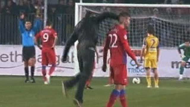 Romanian Fan Punches Soccer Player | Fox News Video